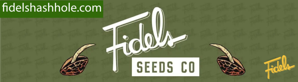 Sour Runtz Regular Cannabis Seeds by Fidel's Buds - Fidels Hash Hole